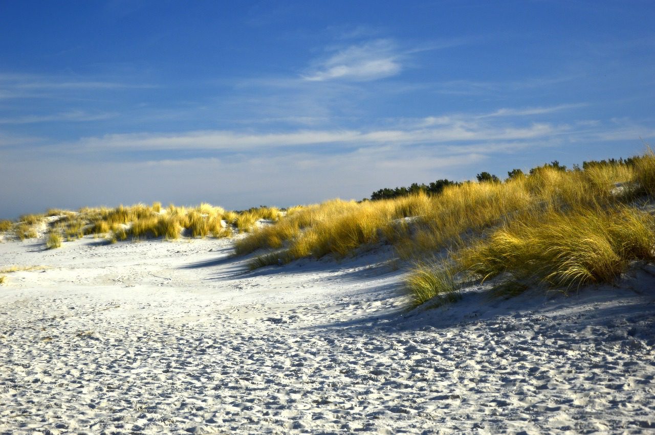 Long Beach HOA Triumphs in Breach of Duty Case – Grant Genovese ...